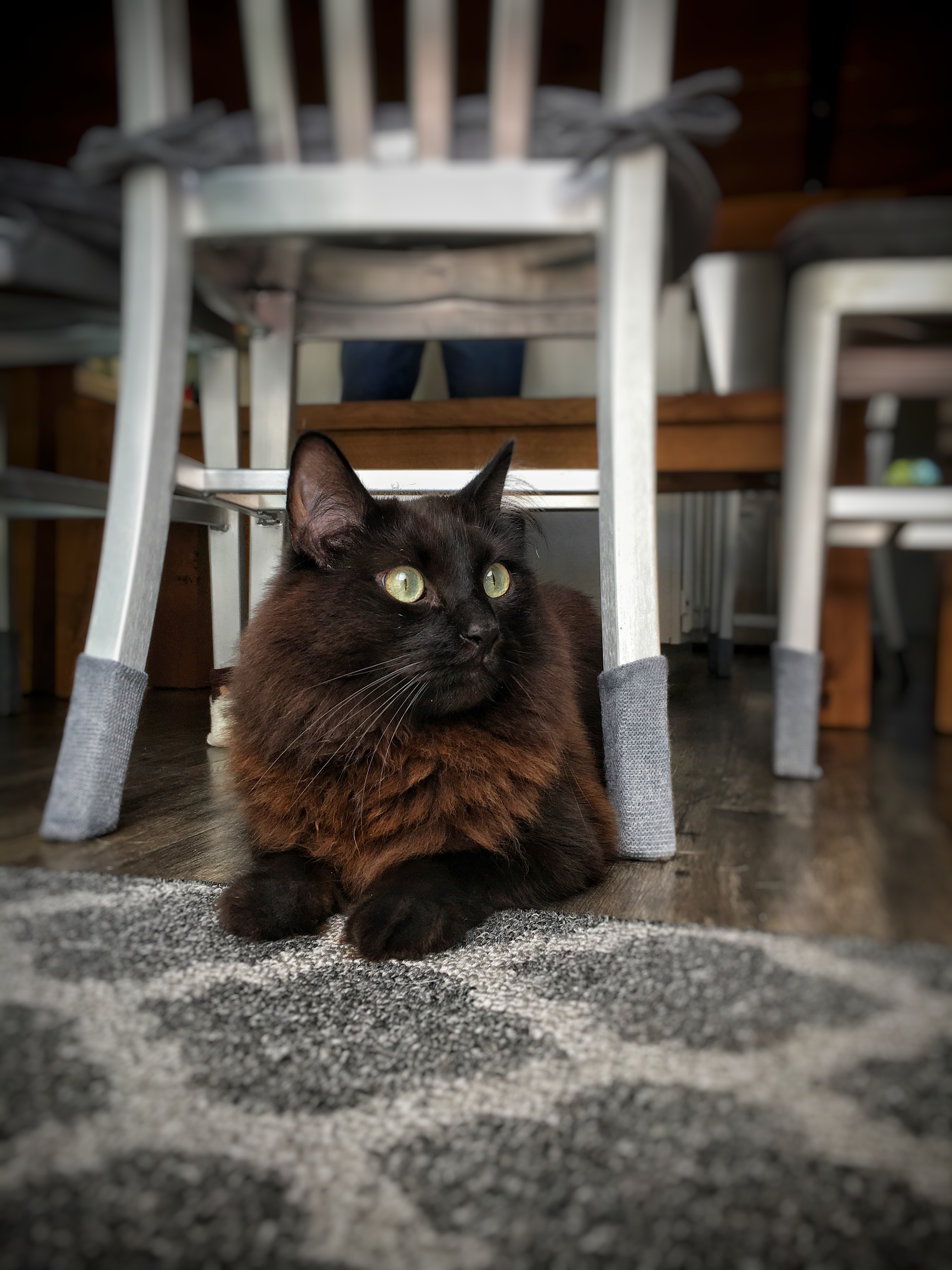 Evan Leong - Portfolio Website